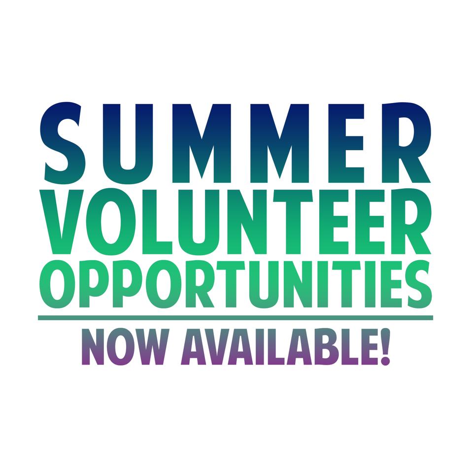 Summer Volunteer Opportunities Youth Central Summer Volunteer Opportunities Youth Central